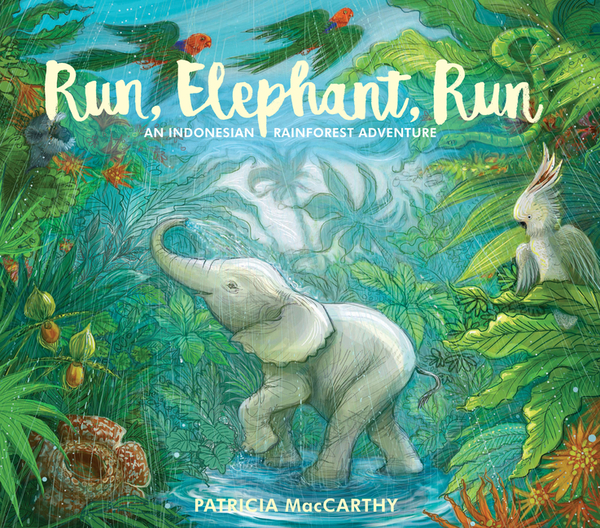 Run, Elephant, Run by Patricia MacCarthy