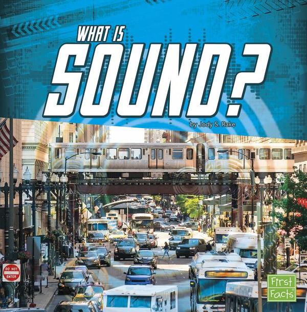 What Is Sound? by Jody Sullivan Rake
